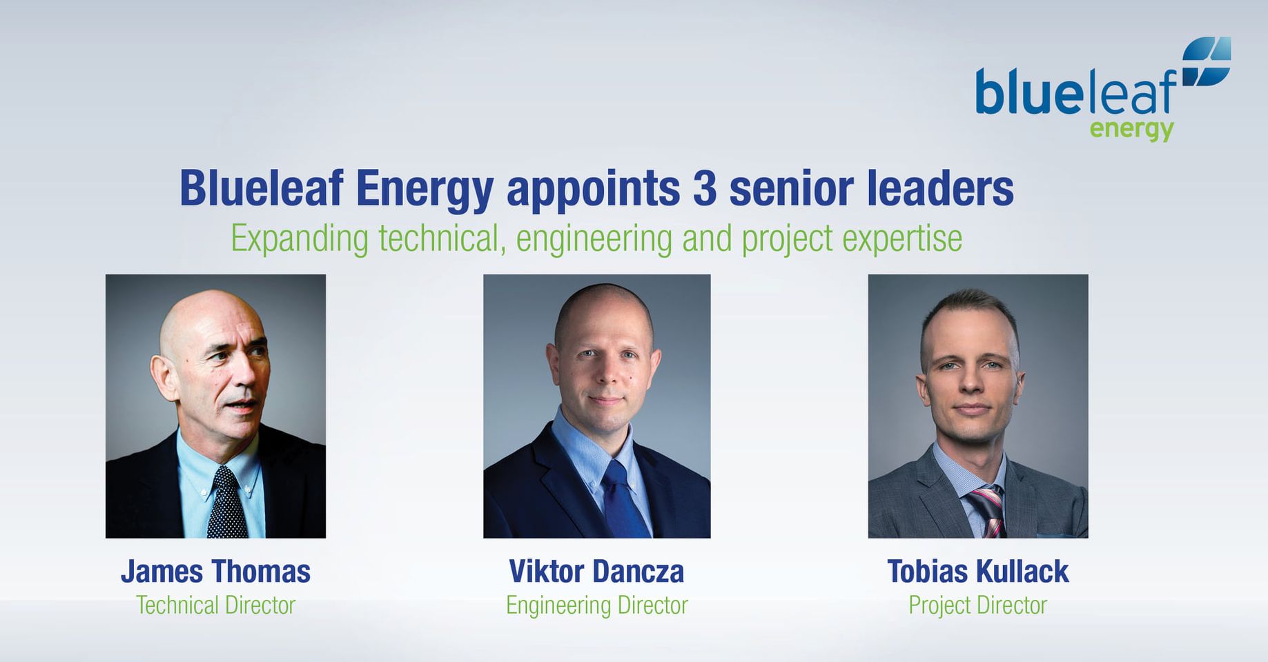 Blueleaf Energy Appoints Leading Industry Experts - blueleaf energy
