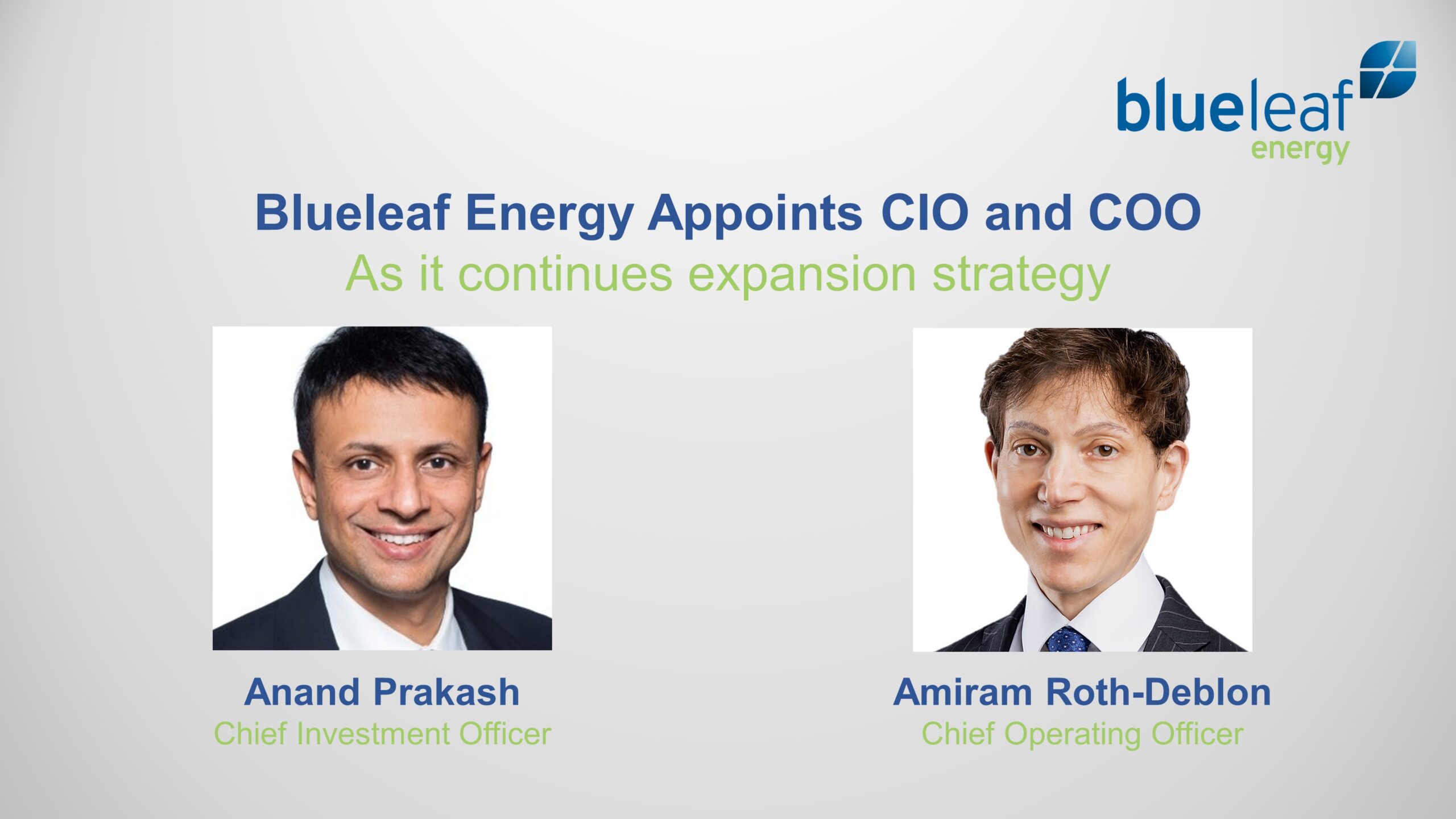 Two new executive appointments at Blueleaf Energy as it continues ...